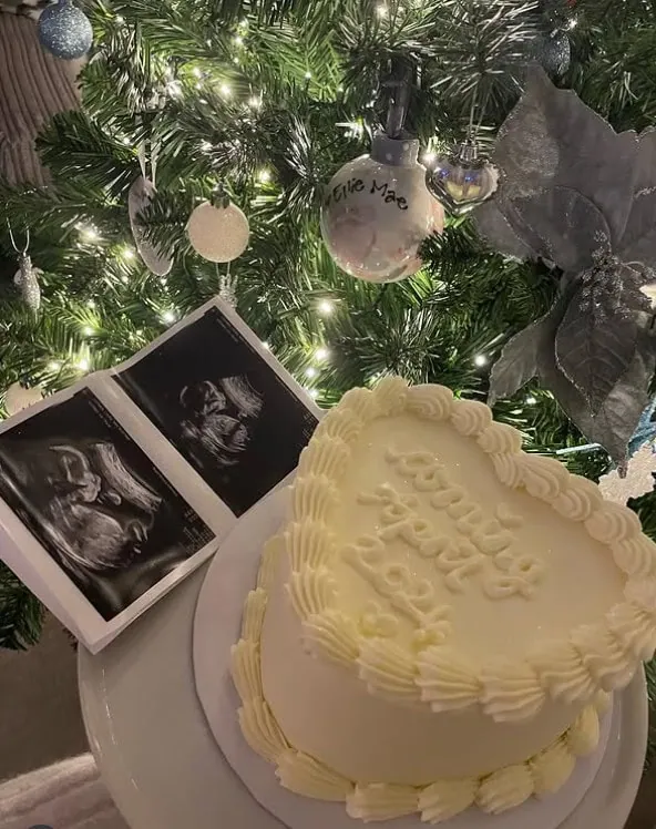 10 Festive Christmas Gender Reveal Ideas to Celebrate the Season ...